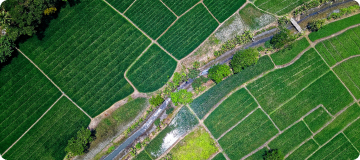 PROPOSALS FOR FARMING